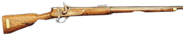 Carabina Albini-Enfield – Storia d’Italia